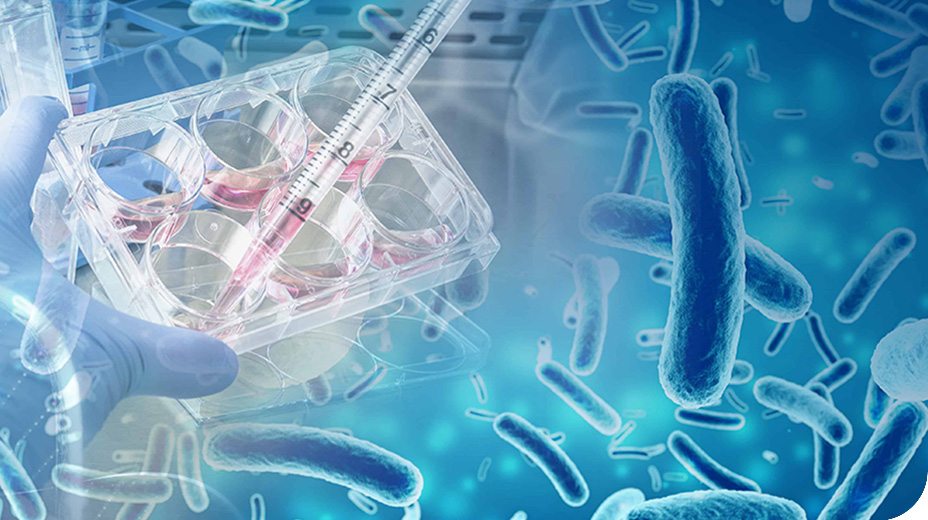 Equilibra la Microbiota y Previene Infecciones | MedibiotiX